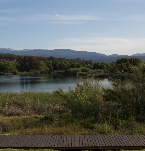 Botanical park & Lake Agias – Taxi Tours Chania
